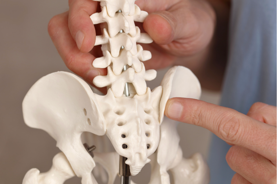 Fixing SI Joint Dysfunction: A Step-by-Step Guide - Mobility Suite